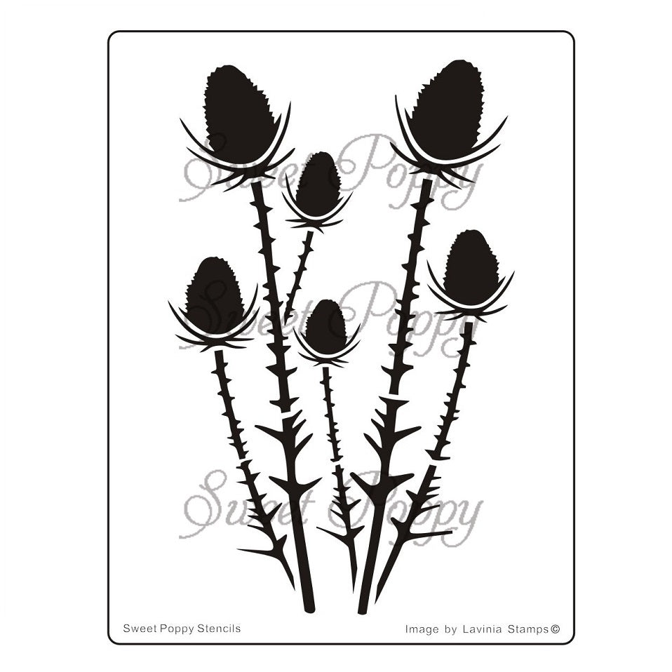 Sweet Poppy Stencil / Thistles – Chain Reaction Qld